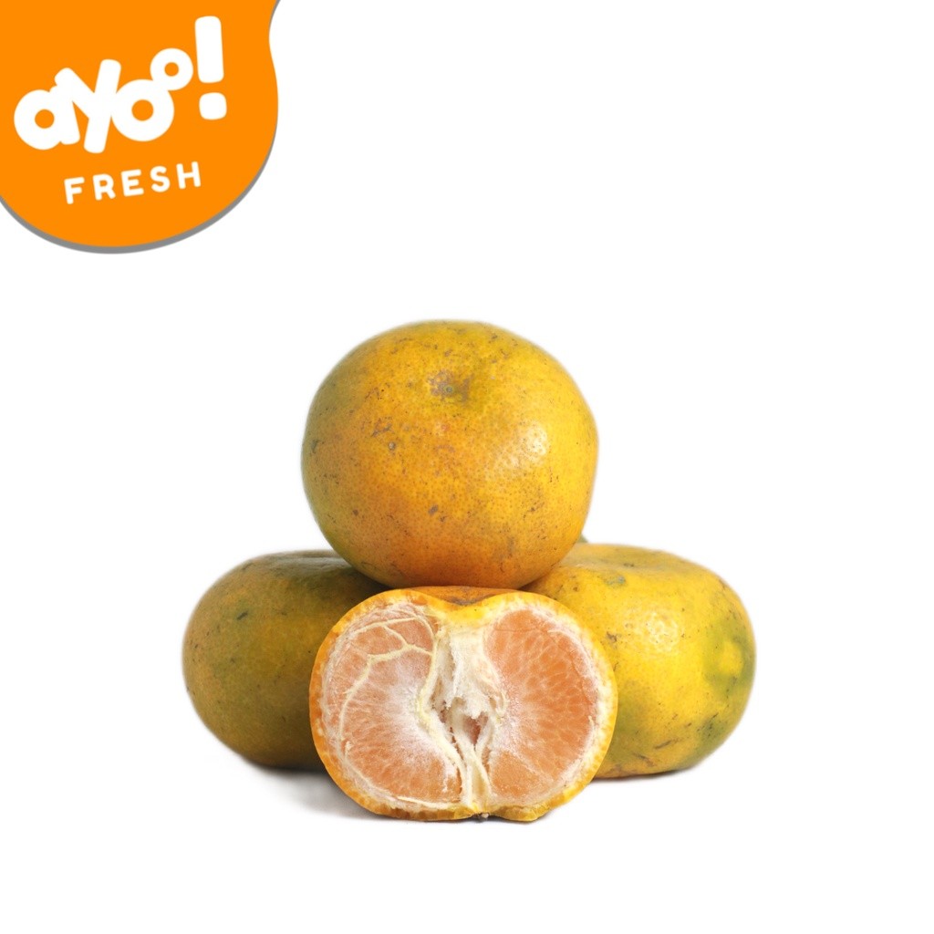 Jual Jeruk Medan 950 gr - 1 kg | Shopee Indonesia