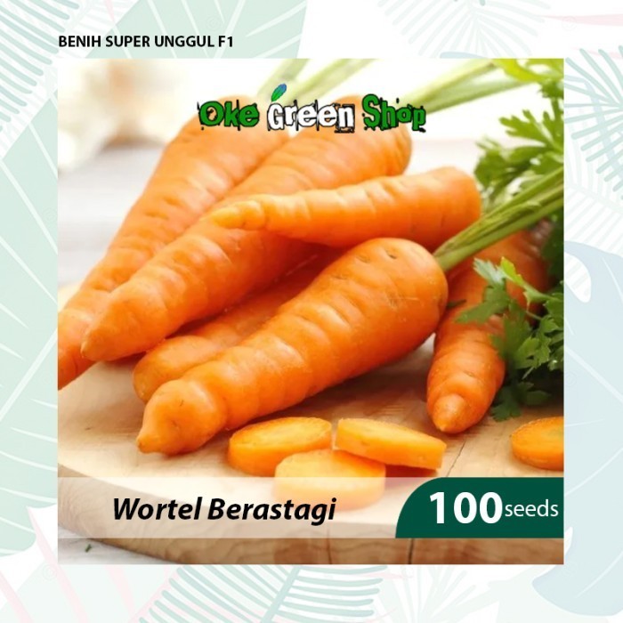 Jual Benih Seribuan - 100 Biji Benih Bibit Wortel Berastagi Manis ...