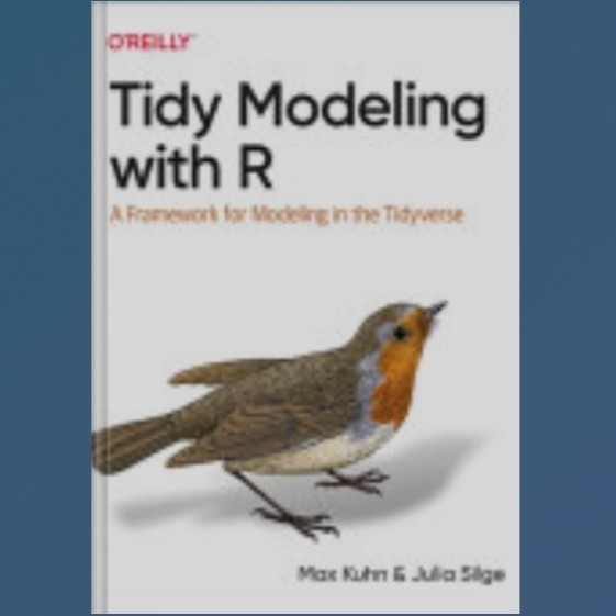 Jual Buku Tidy Modeling with R (Final Release) | Shopee Indonesia