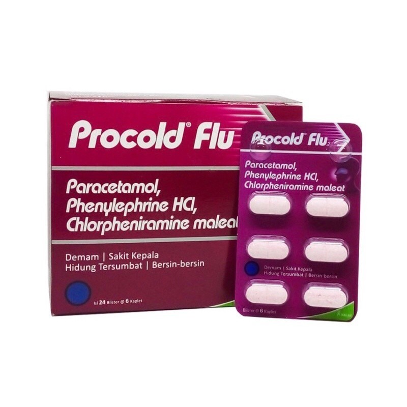 Jual ( 2 LEMBAR ) Procold Flu Per Lembar 6 Tablet / TS | Shopee Indonesia