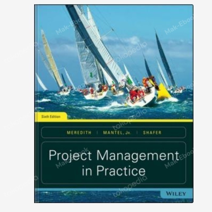 Jual Buku Project Management in Practice | Shopee Indonesia