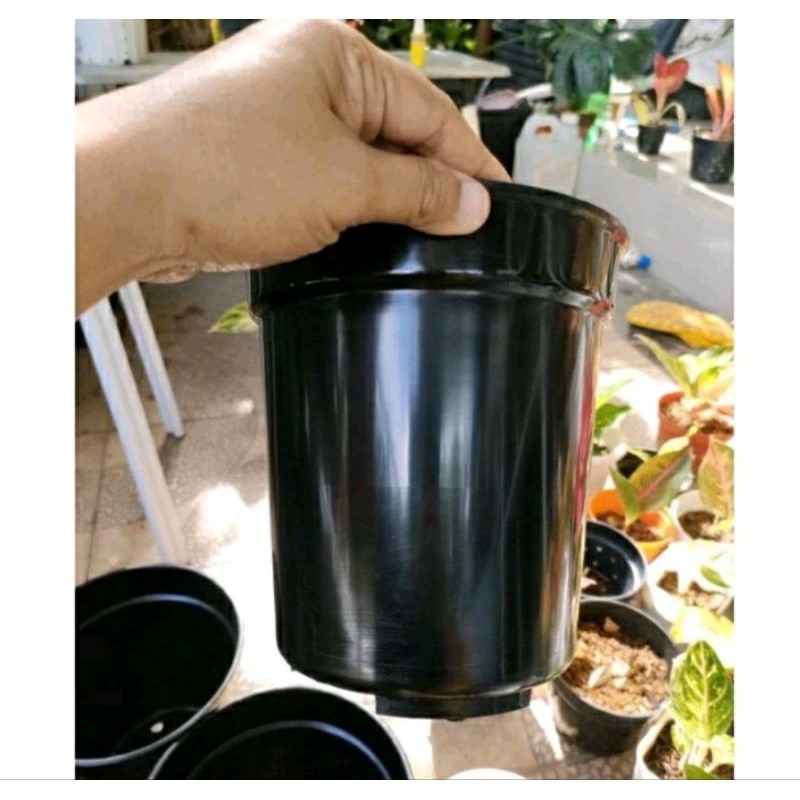 Jual pot tinggi USA ukuran 25 cm warna oren , putih dan hitam - pot ...