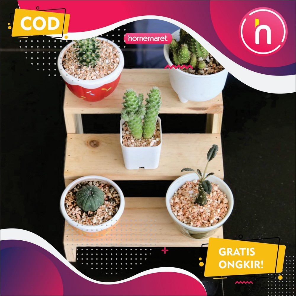 Jual Rak Display Tingkat Susun Dua / Tiga Multifungsi - Kayu jati ...