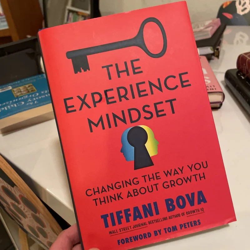 Jual The Experience Mindset: Changing the Way You Think by tiffani bova ...