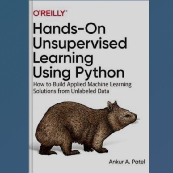 Jual Buku Hands-On Unsupervised Learning Using Python | Shopee Indonesia