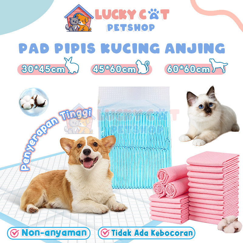 Jual Pad Pipis Kucing Anjing 10 Pcs Popok Sekali Pakai Alas Pipis Pee ...