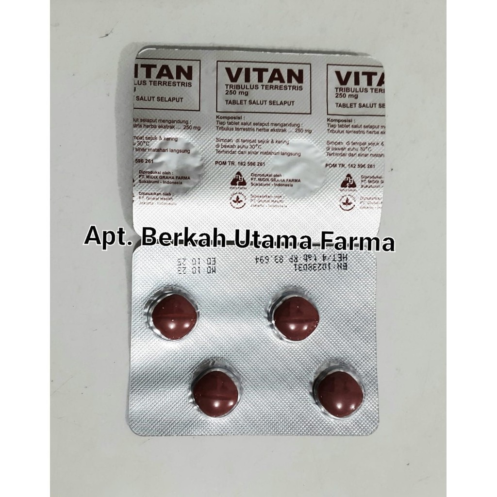 Jual Vitan 250 mg Strip isi 4 Tablet | Shopee Indonesia