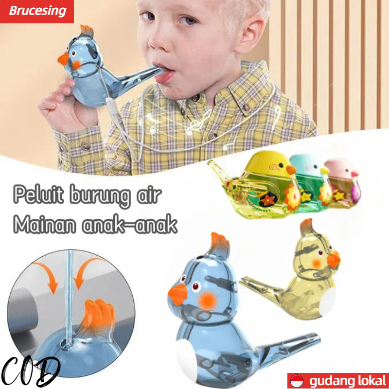Jual Peluit Burung Bird Terapi Wicara Anak Mainan Edukasi Anak ...