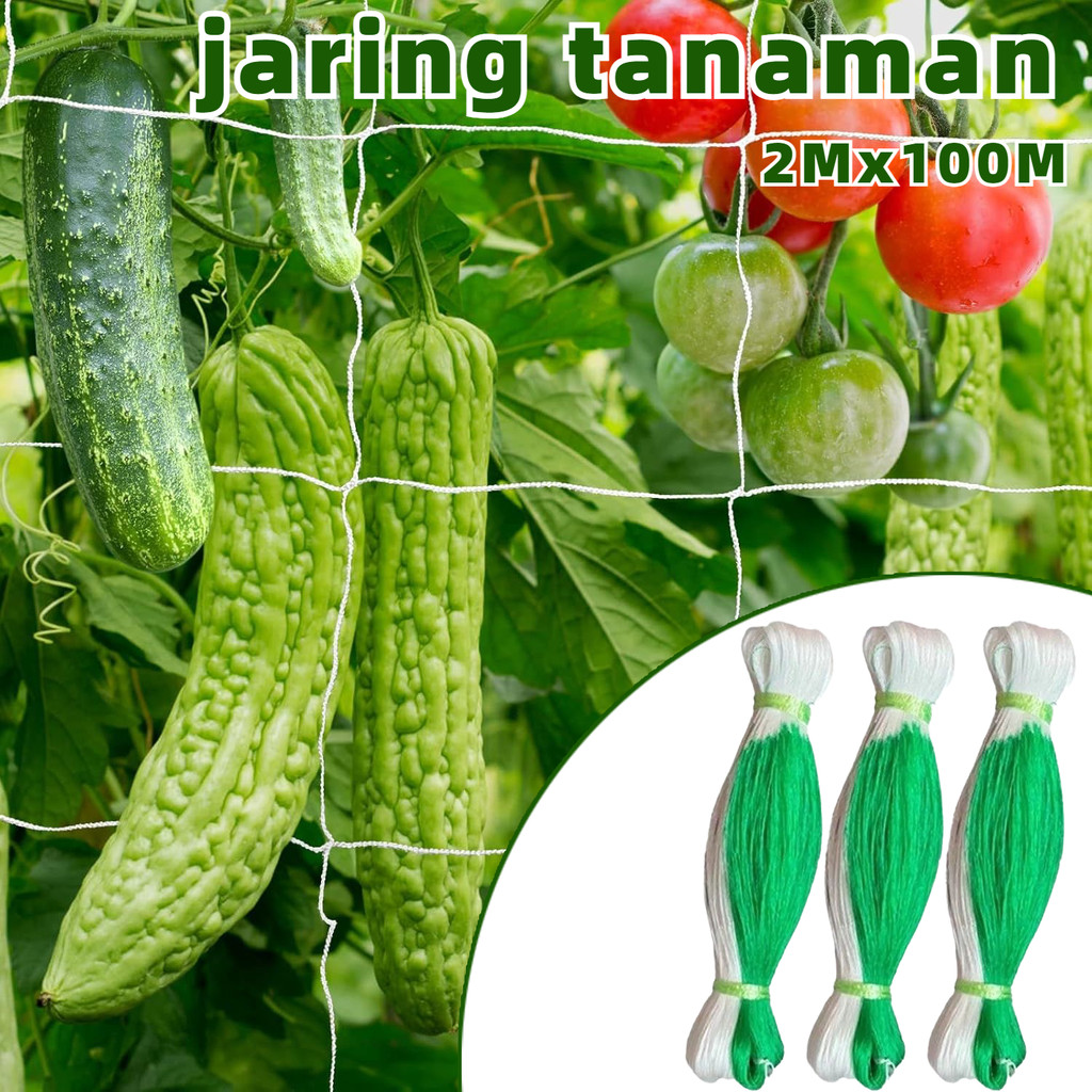 Jual 2M X 100M Jaring Rambatan Tanaman / Buah Merambat Plant Climbing Net Kebun / Untuk Bertani ...
