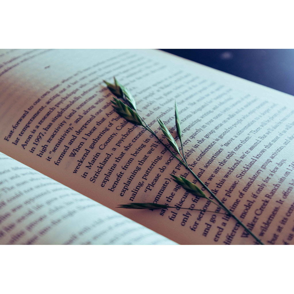 Jual Buku Novelist as a Vocation by Haruki Murakami (SOFTCOVER 2022) | Shopee Indonesia