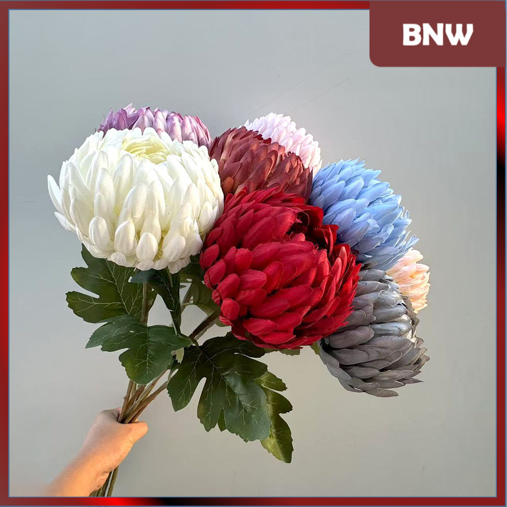 Jual BNW - C24 CHRYSANTHEMUM BUNGA Serunai 74CM Diameter 13cm ...
