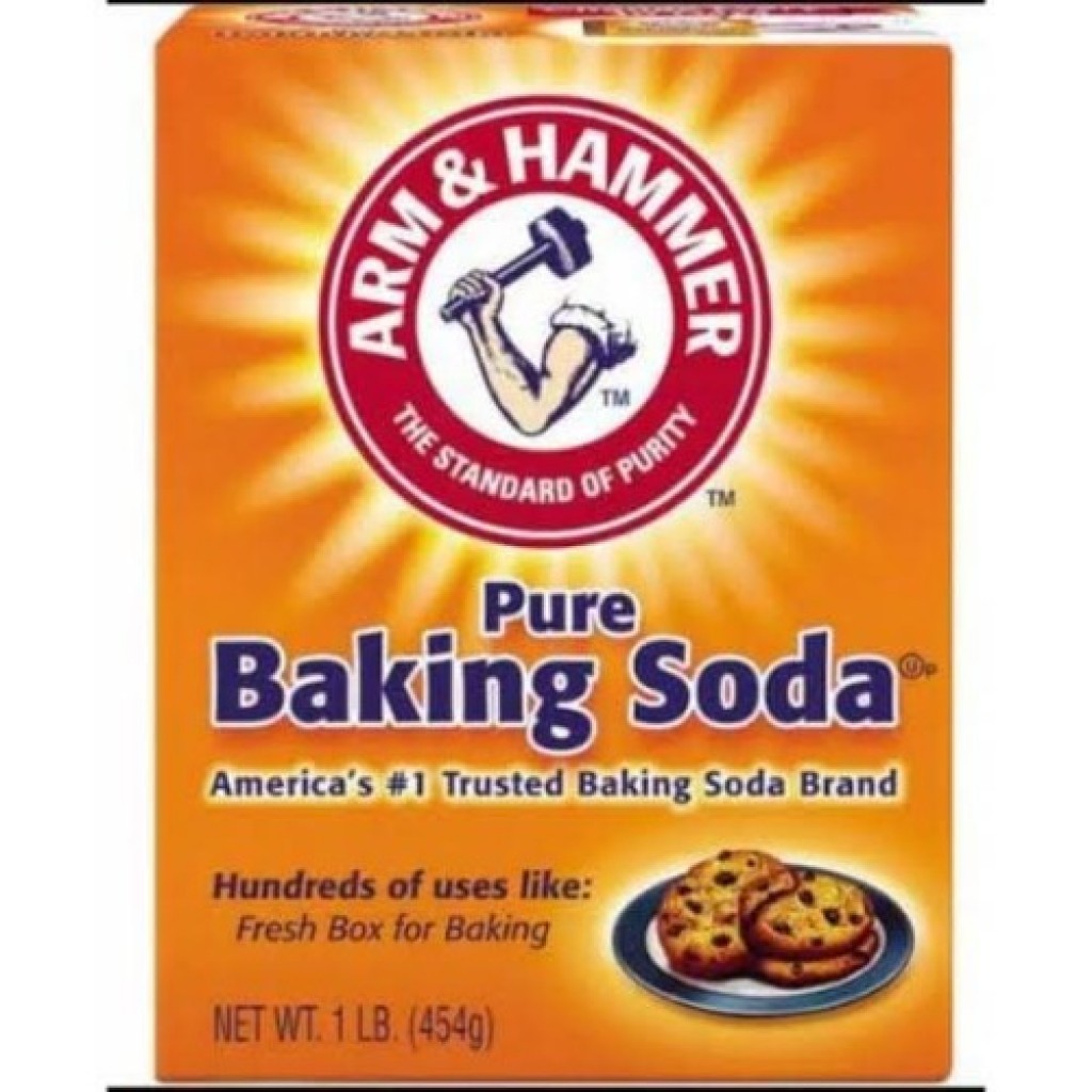 Jual Arm & Hammer Baking Soda 454gr | Shopee Indonesia