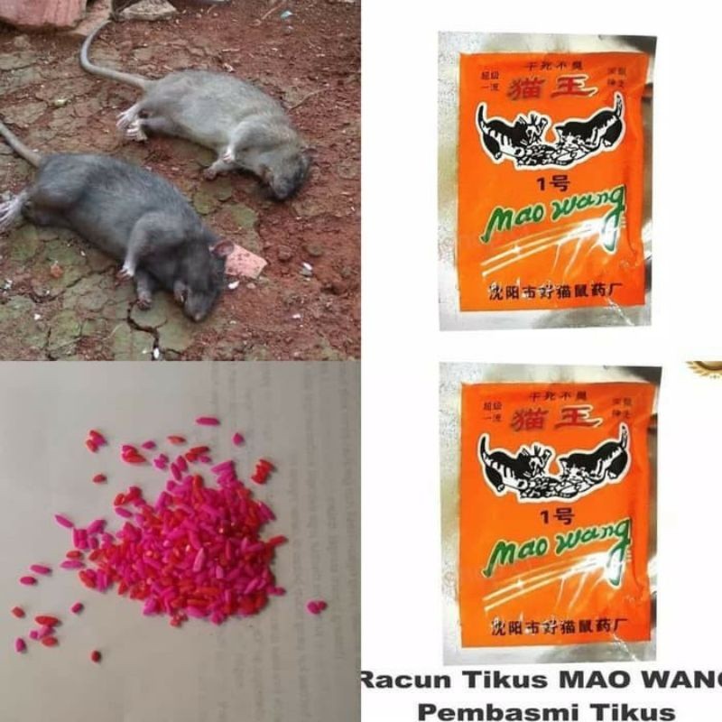 Jual RACUN TIKUS Original / Racun Tikus Mati Kering / Mao Wang | Shopee ...