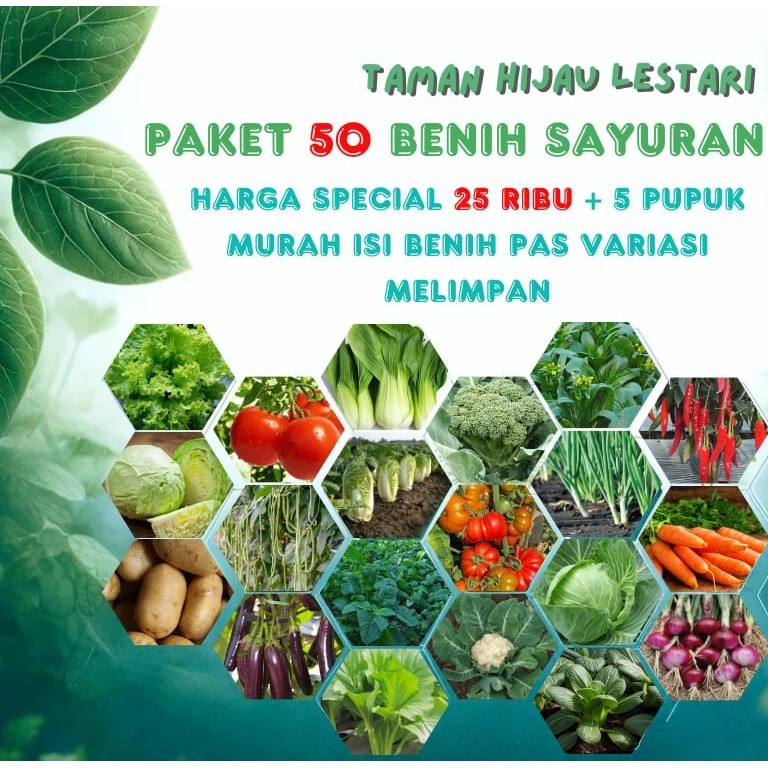 Jual Paket 50 Jenis Benih Sayuran Terbaik untuk Pemula, Dijamin Tumbuh ...