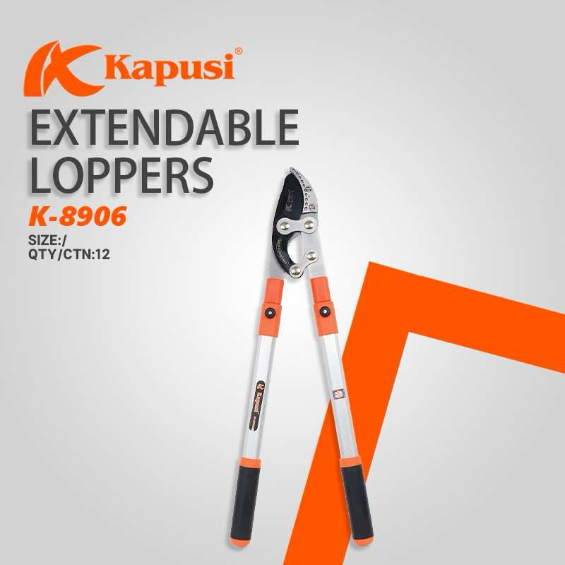 Jual Kapusi Gunting Pohon Extension Gunting Ranting Pemotong Ranting ...
