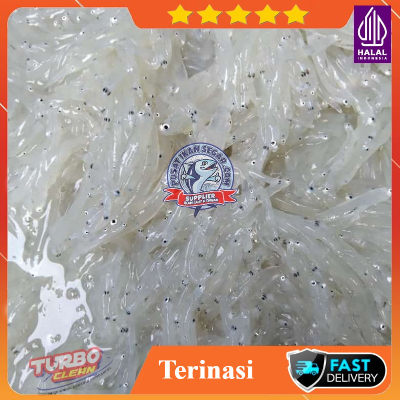 Jual Ikan Segar Teri Nasi Basah Tawar Ikan Laut cocok untuk MPASI ...