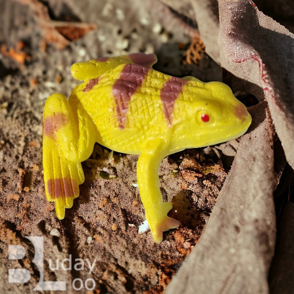Jual Mainan Miniatur Katak Kodok Kuning 4 cm Frog 05 Figure Jenis Katak ...