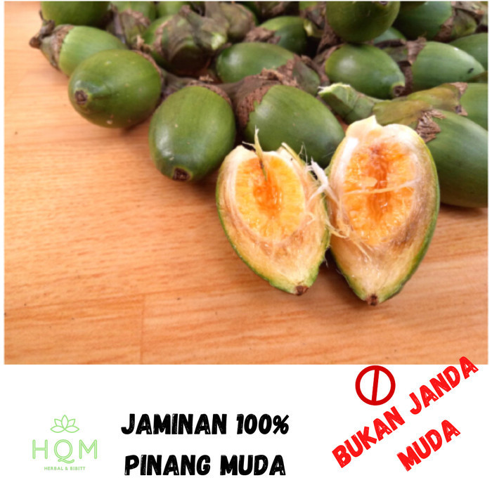 Jual Hafika Buah Pinang Muda Jambe Nom Herbal Perkasa | Shopee Indonesia