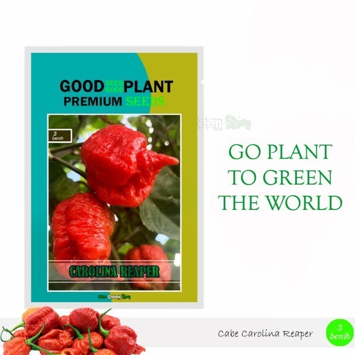 Jual PREMIUM SEED - 3 Biji Benih Bibit Cabe Red Carolina Reaper ...