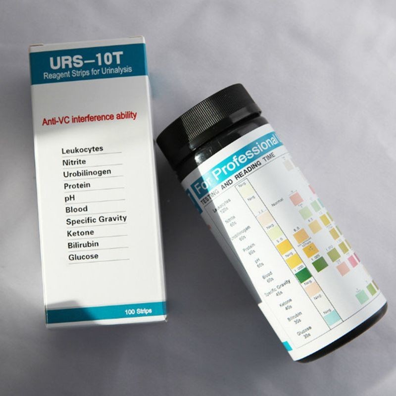 Jual Urine Test Strips 10 Parameters Reagent Strips for Urinalysis Body ...