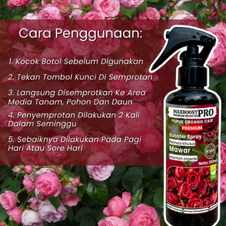 Jual Pupuk Organik Cair Spray Tanaman Hias Bunga MAWAR Plus Hormon ZPT ...