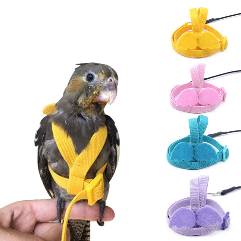 Jual Parrot Flying Harness Leash Suit Pet Bird Outdoor Flight Training ...