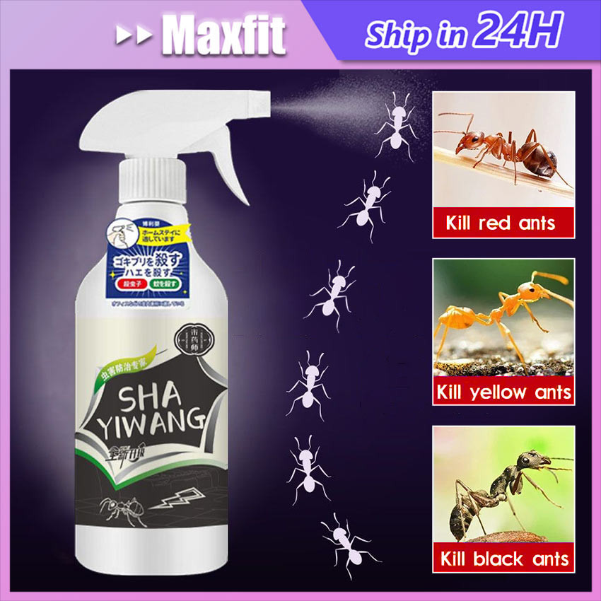 Jual 500Ml Racun Obat Anti Rayap Semprot Spray Arap Quick Action ...