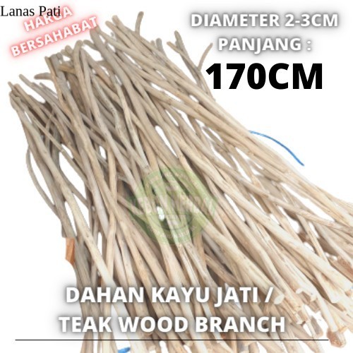Jual Dahan ranting kayu jati 170CM- macrame Teak Wood Branch XD3 ...