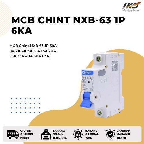 Jual MCB Chint NXB-63 1P 6kA (1A 2A 4A 6A 10A 16A 20A 25A 32A 40A 50A 63A) | Shopee Indonesia