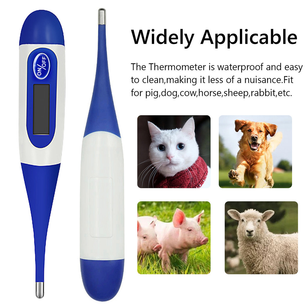 Jual Animal Thermometer Digital LED Display Thermometer Accurate ...