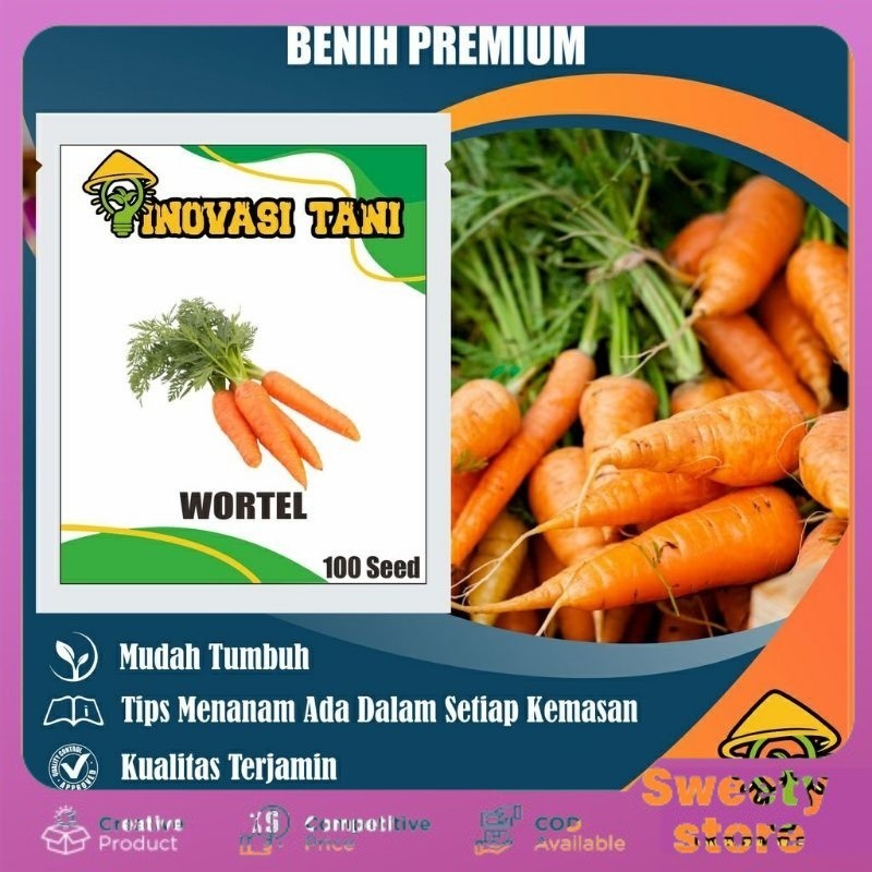 Jual BENIH BIBIT BIJI SUPER WORTEL BENIH WORTEL JUMBO SAYURAN UNGGUL ...
