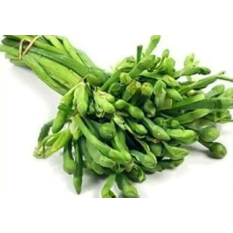 Jual Genjer/Sayur Genjer Segar 1 Ikat Besar | Shopee Indonesia