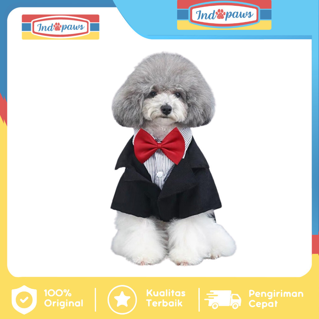 Jual Indopaws Baju Kondangan Anjing/Kucing Tuxedo - Pakaian Pernikahan Hewan Peliharaan | Shopee ...