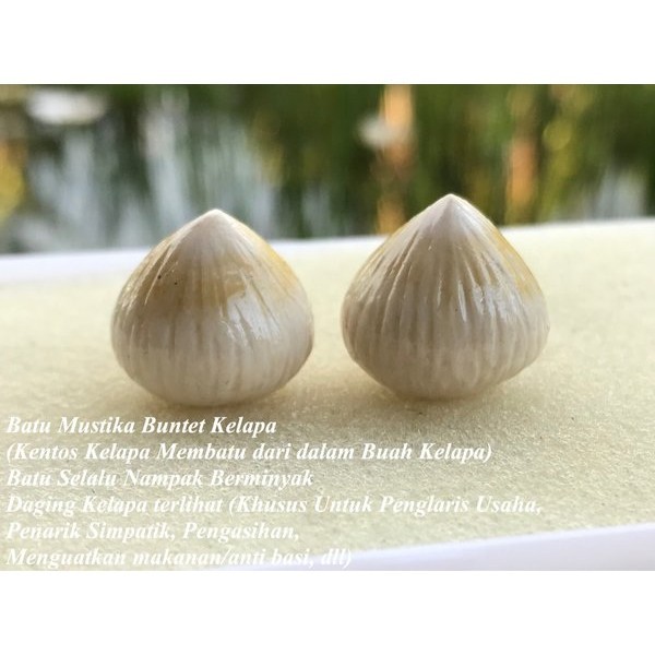 Jual Batu Dari Buah Kelapa Kentos Kelapa Alami dan Bergaransi Asli ...