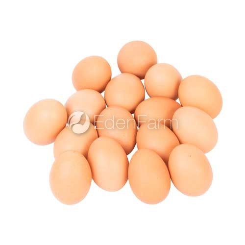Jual Telur Ayam Negeri 1KG (15-18 pcs/KG) | Shopee Indonesia