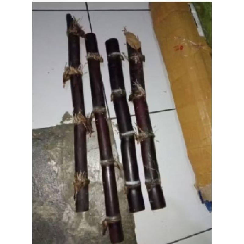 Jual Tebu Wulung tebu hitam tebu ireng 40 cm | Shopee Indonesia