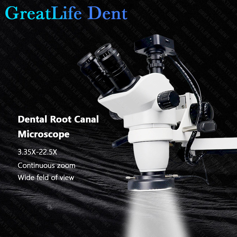 Jual GreatLife Dent 3.35~22.5X Dental Equipment Microscope Root Canal ...