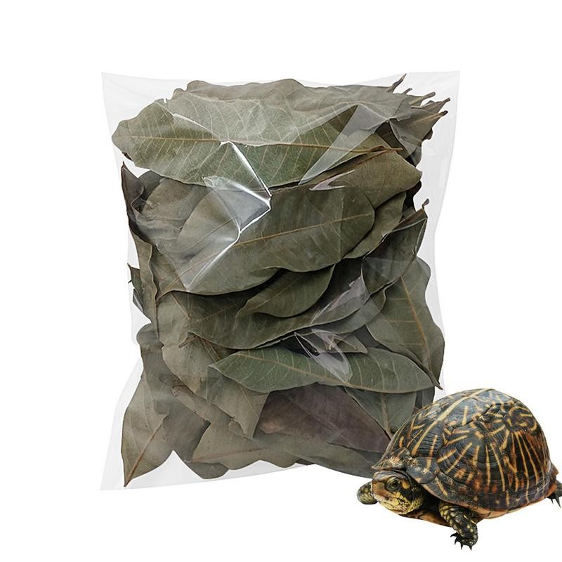 Jual 50 pieces Turtle Longan Leaf Betta Fish Toys Aquarium Leaf Longan ...