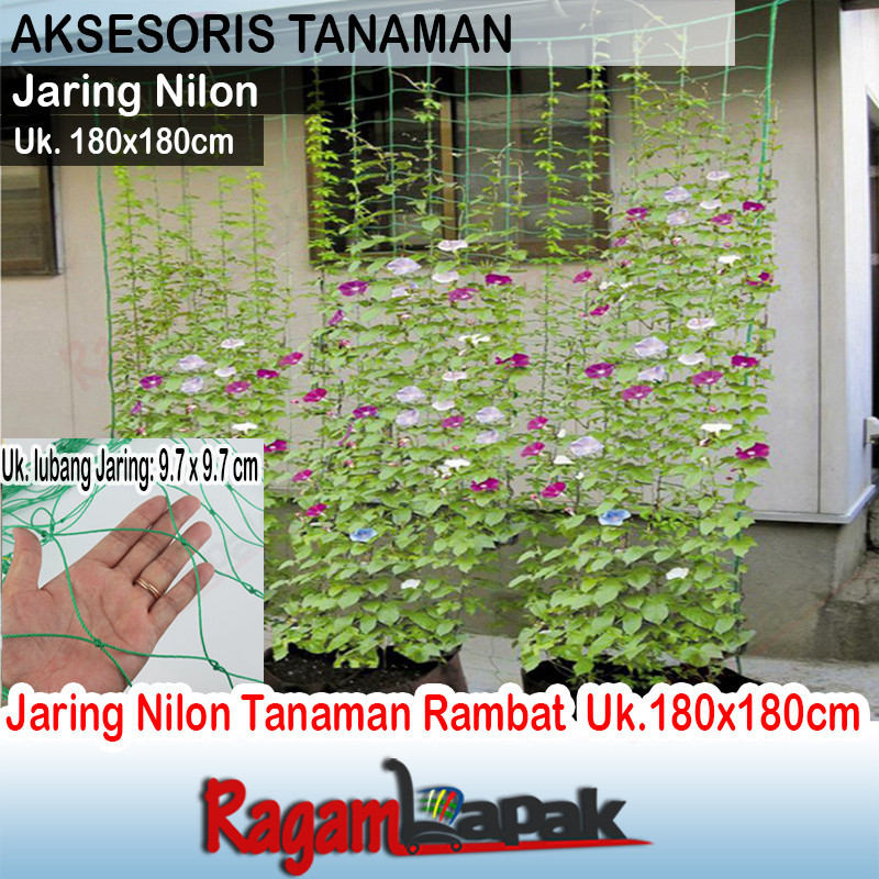 Jual Jaring Nilon Tanaman Rambat Plants Climbing Net 180x180cm | Shopee ...