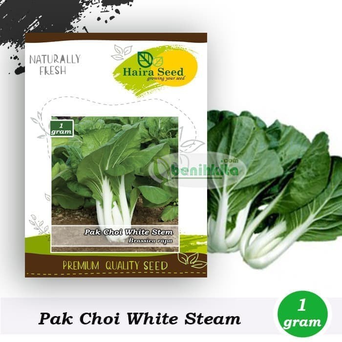 Jual GIFT Benih Pak Choi White Stem Haira Seed PokChoi Pakcoy Coy Choy ...
