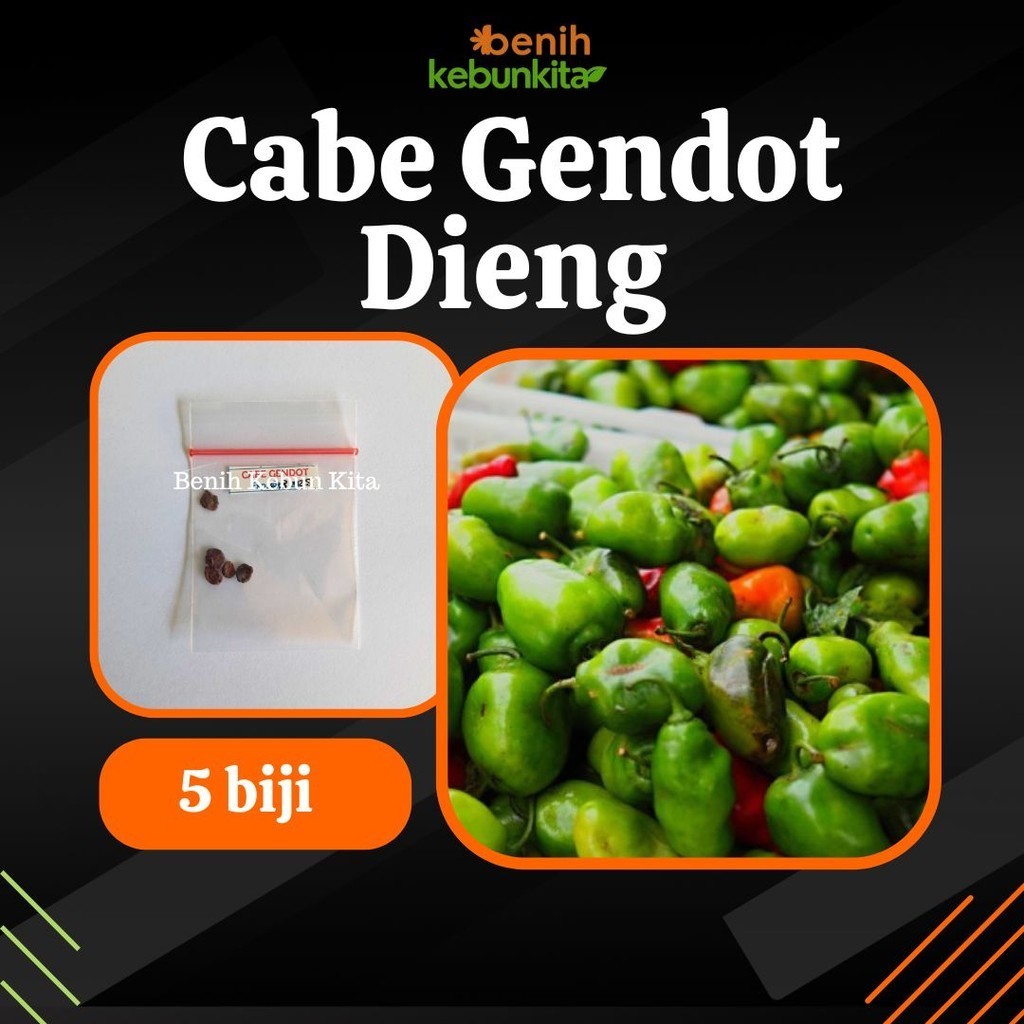 Jual Biji Benih Bibit Tanaman Cabe Dieng Gendot famili Habanero Unggul ...