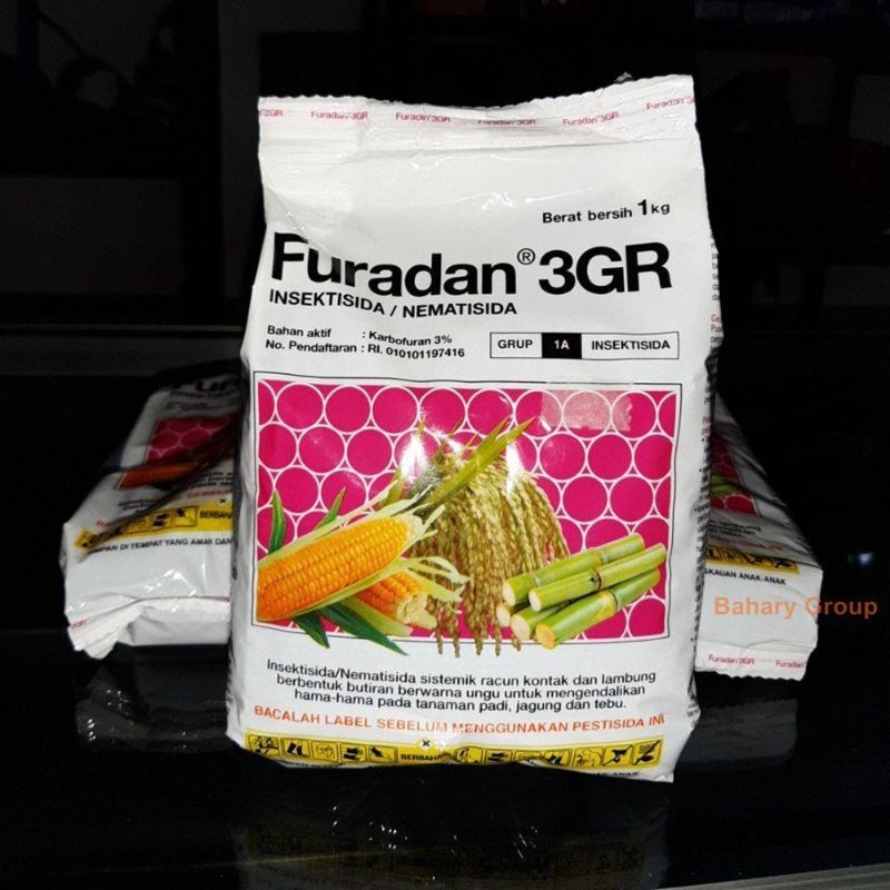Jual FURADAN 3GR/INSEKTISIDA FURADAN 3GR KEMASAN 1 KG ORIGINAL | Shopee ...