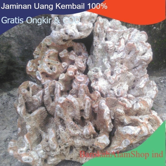 Jual Karang Batu,posil Laut Besar Media Aquascape Hiasan Aquarium(2kg ...