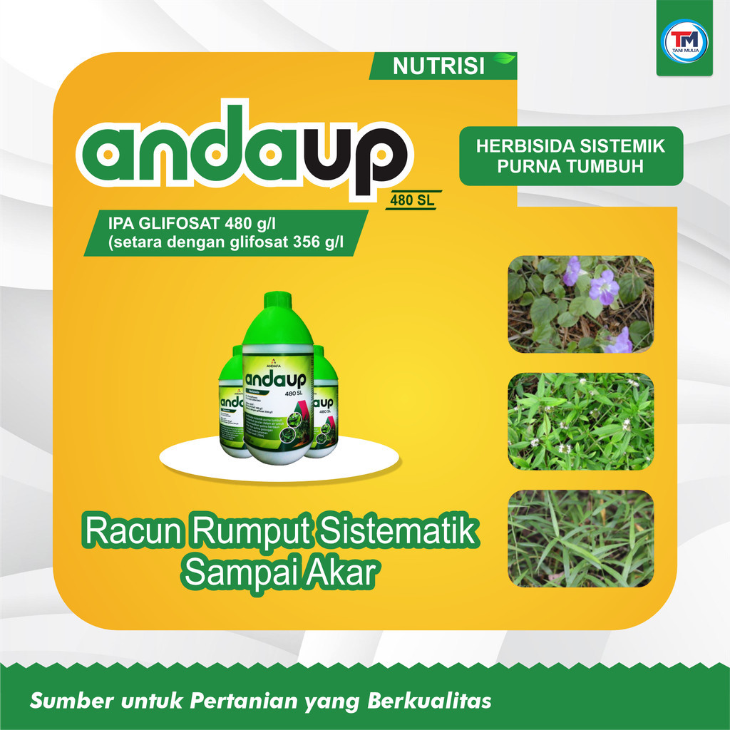 Jual AndaUp: Obat Pembasmi Rumput - Racun Rumput sistemik sampai akar ...