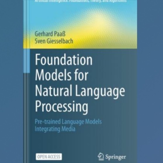 Jual Buku Foundation Models for Natural Language Processing | Shopee Indonesia