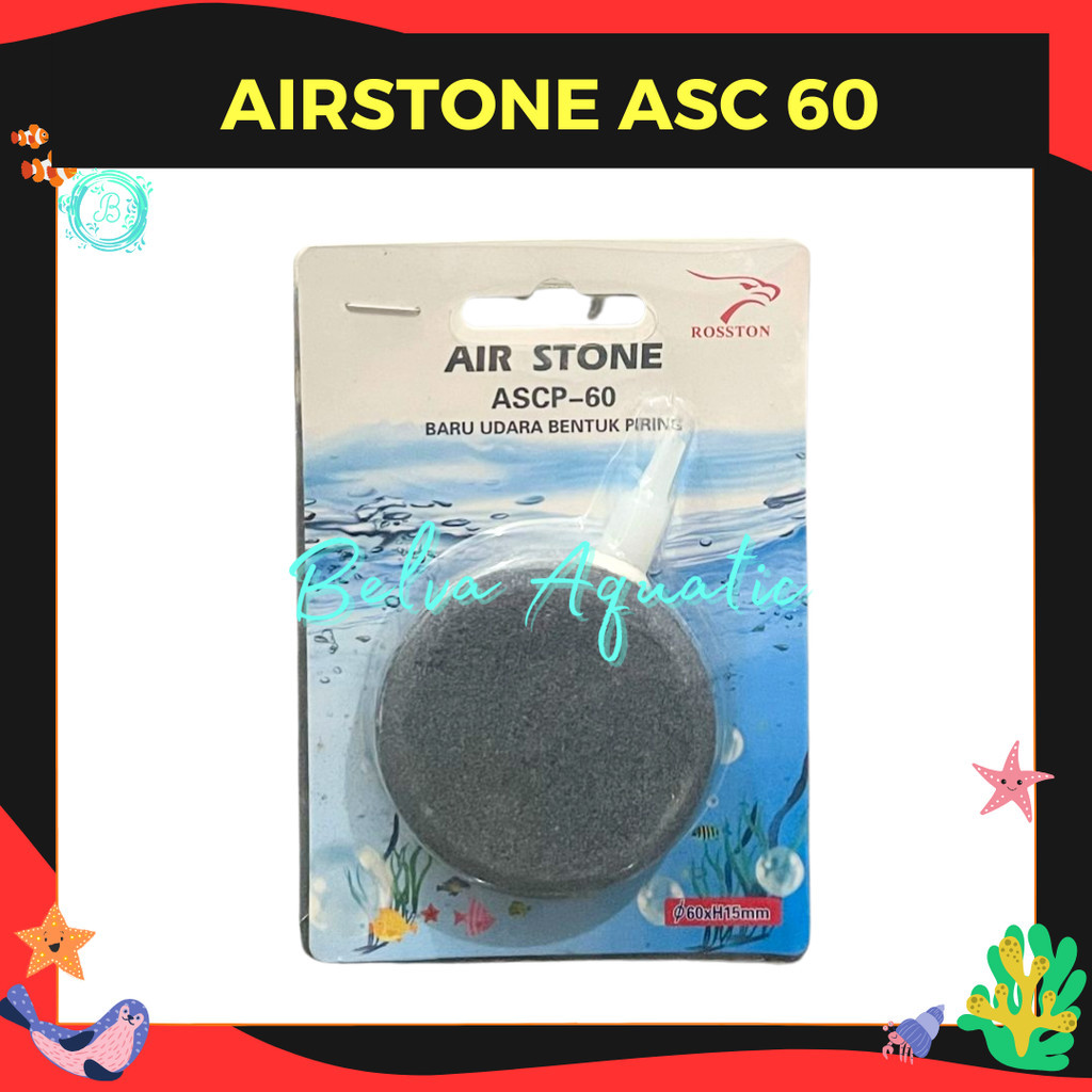 Jual ASC 60 Batu Aerator Gelembung Udara Bulat Pipih Air Stone Airstone ...
