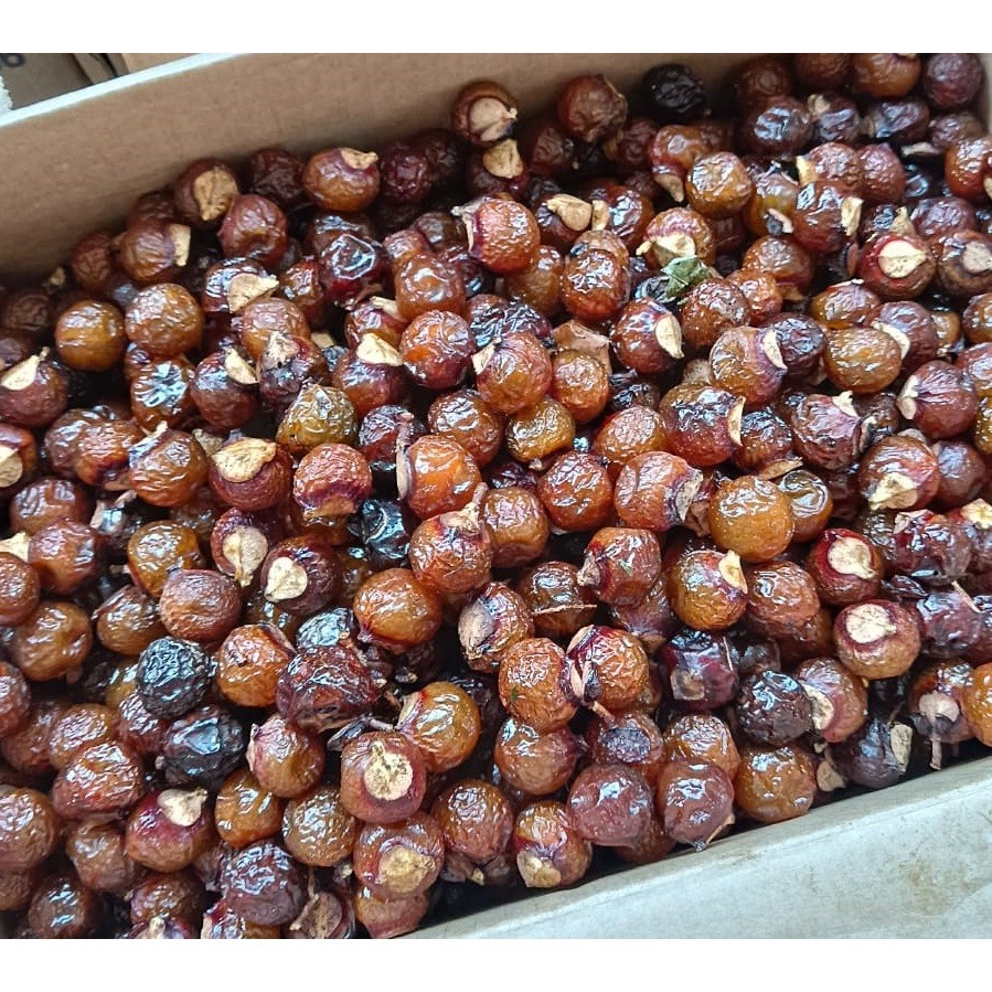 Jual 100g Biji Lerak Klerek Rerek Soap Nut - NUMI BULK BIN | Shopee ...