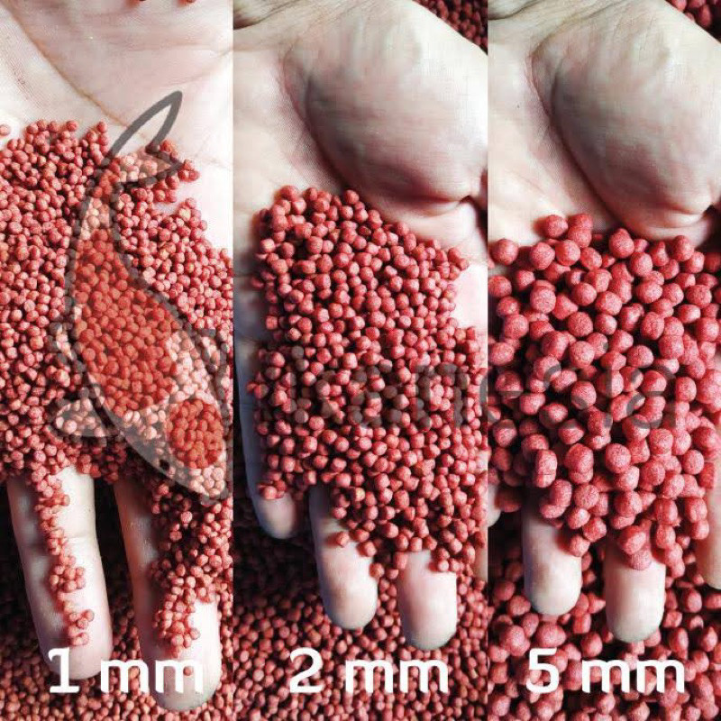 Jual Pakan Pelet Koi Colour Growth Enhancer Hakoi 500gr High Protein ...