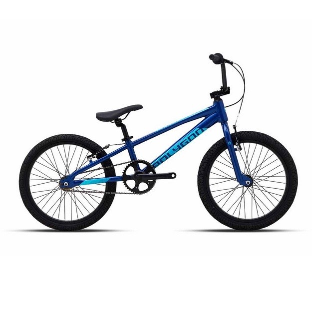 Jual Polygon Rogue Sepeda BMX Anak 20 inch | Shopee Indonesia