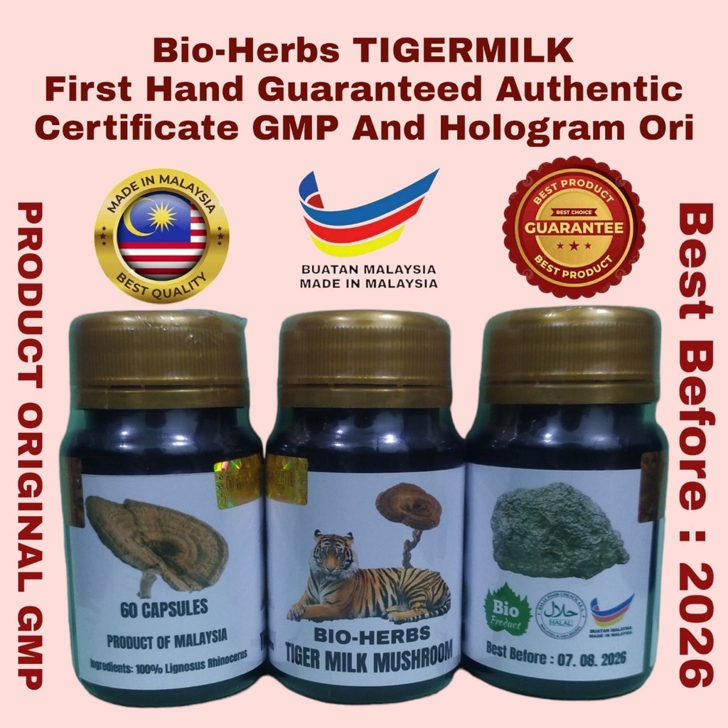 Jual PURE ORIGINAL TIGERMILK MUSHROOM CENDAWAN SUSU HARIMAU EXTRACT BIO ...